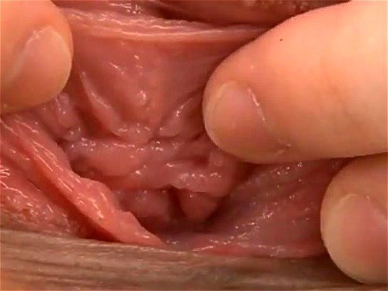 Watch Pussy Spreading And Gaping Compilation Part 4 Pussy Spreading Compilation Cunt Close