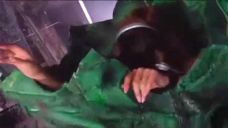 Plant Vore Porn Plant And Vore Videos Spankbang